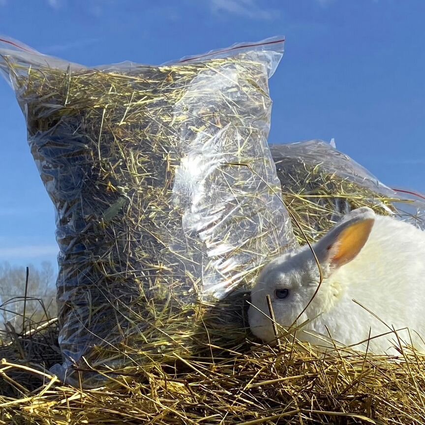 Сено луговое для грызунов 600г