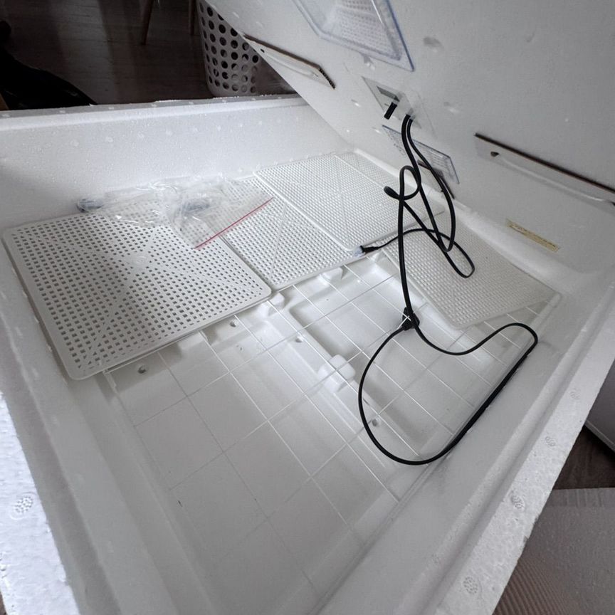 Инкубатор несушка