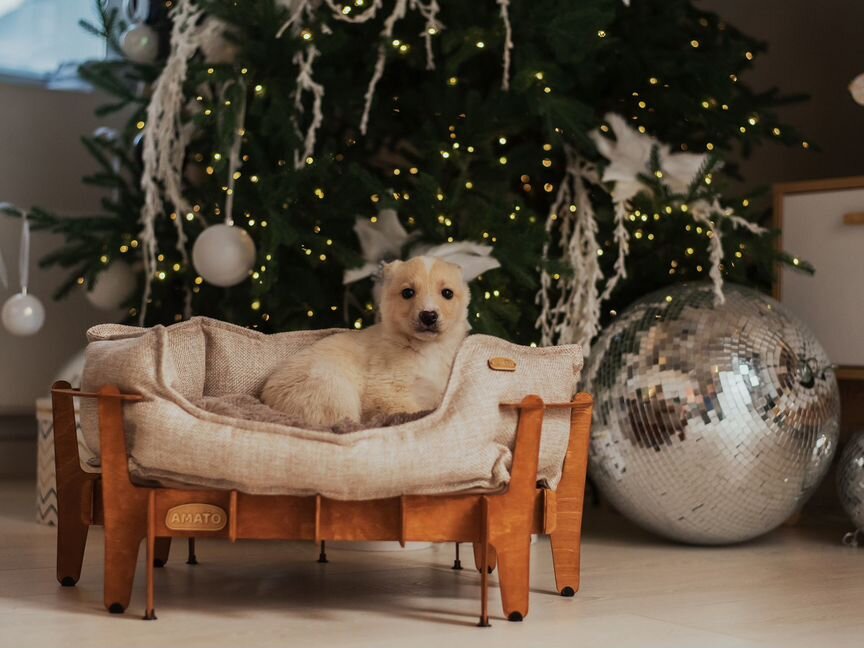 Лежанка для собак мелких и средних пород, кошек