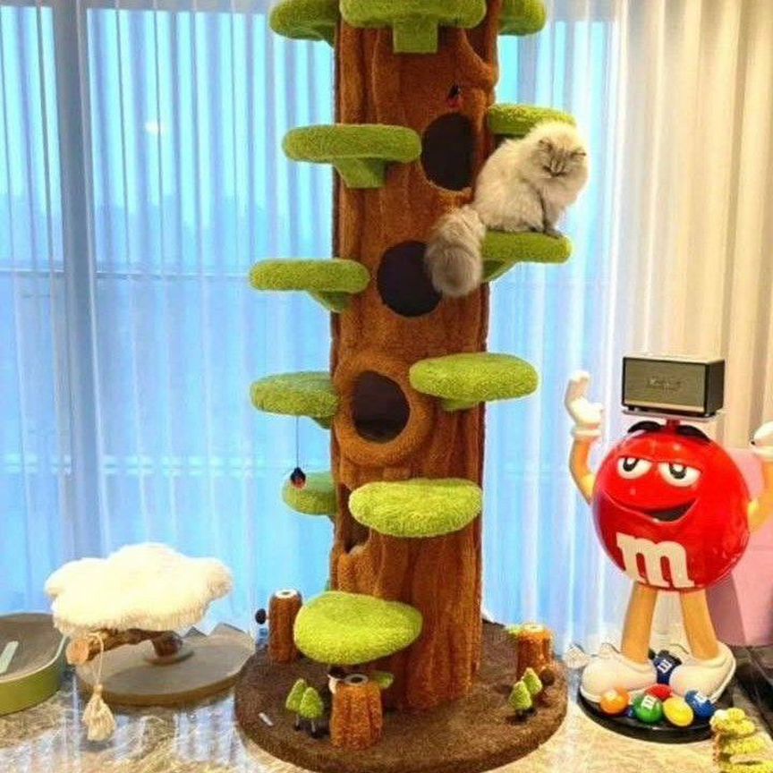 Домик когтеточка