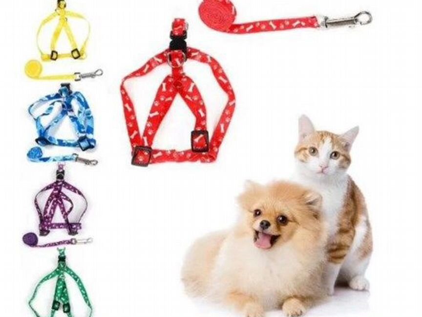 Шлейка для собак и кошек в ассортименте
