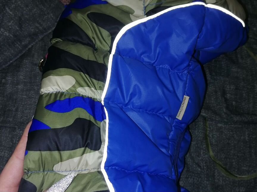 Вещи для маленьких собак