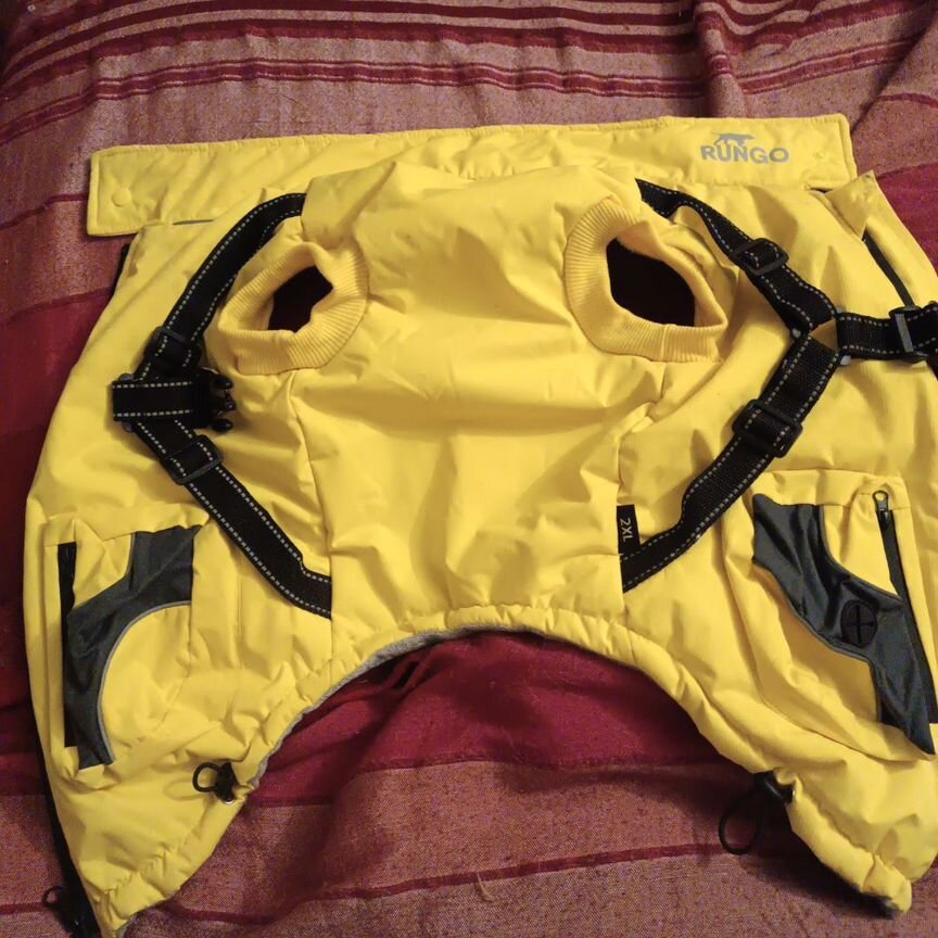 Одежда для собак