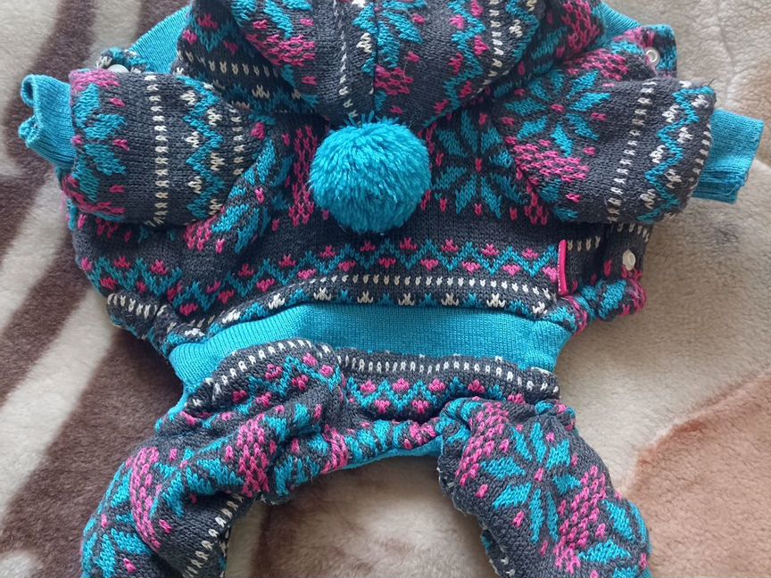 Одежда для маленькой собачки