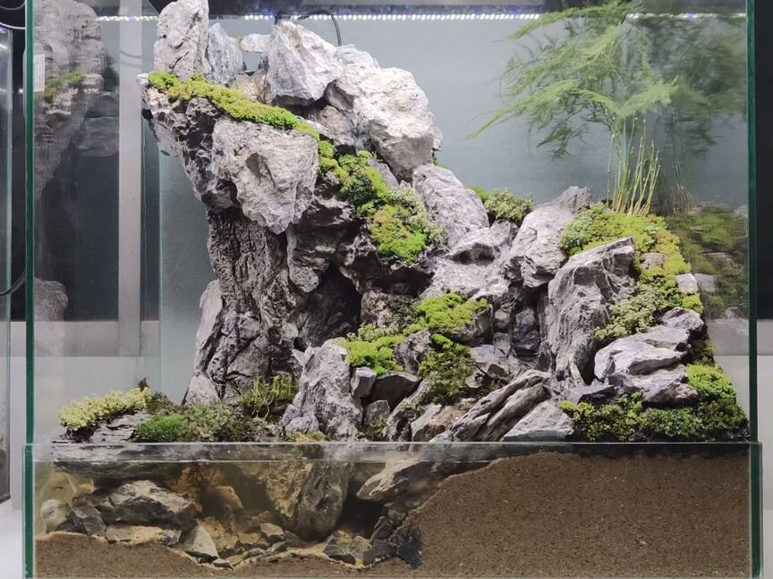 Фон для террариума