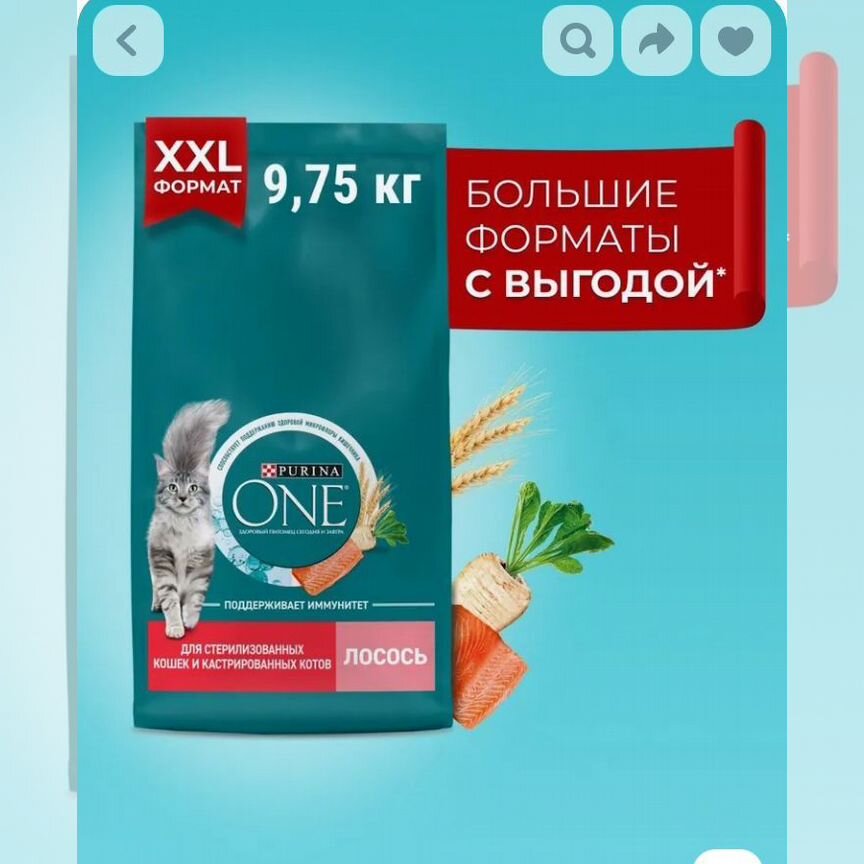 Сухой корм для кошек