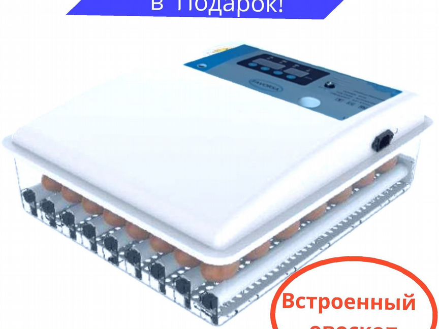 Инкубатор