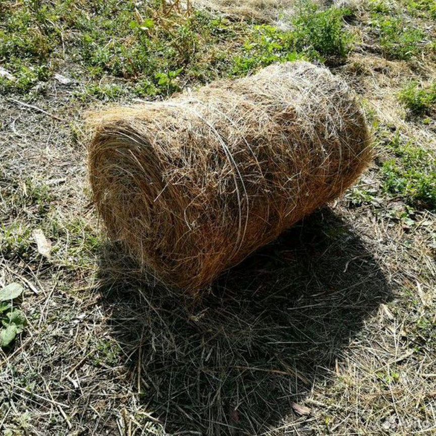 Сено тюк 20-25 кг