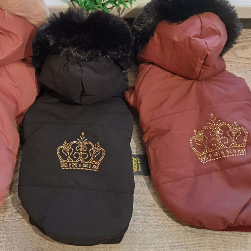 Новые зимние комбенизоны для собак