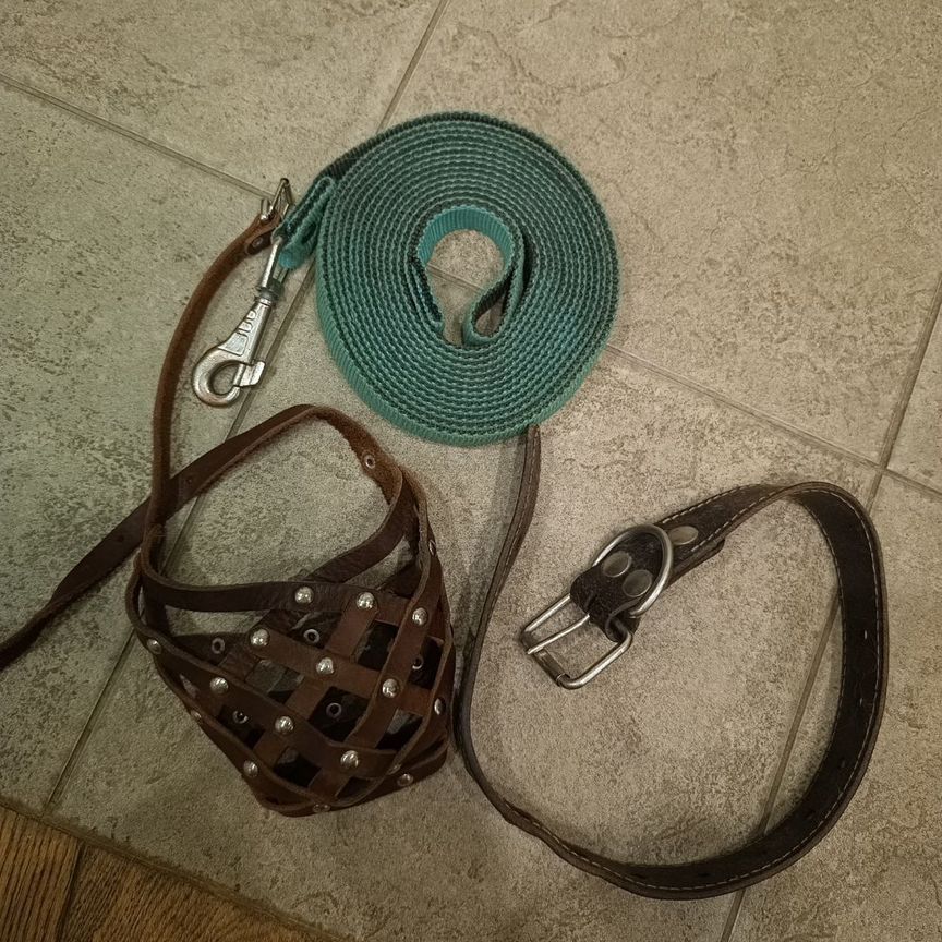 Поводок, намордник