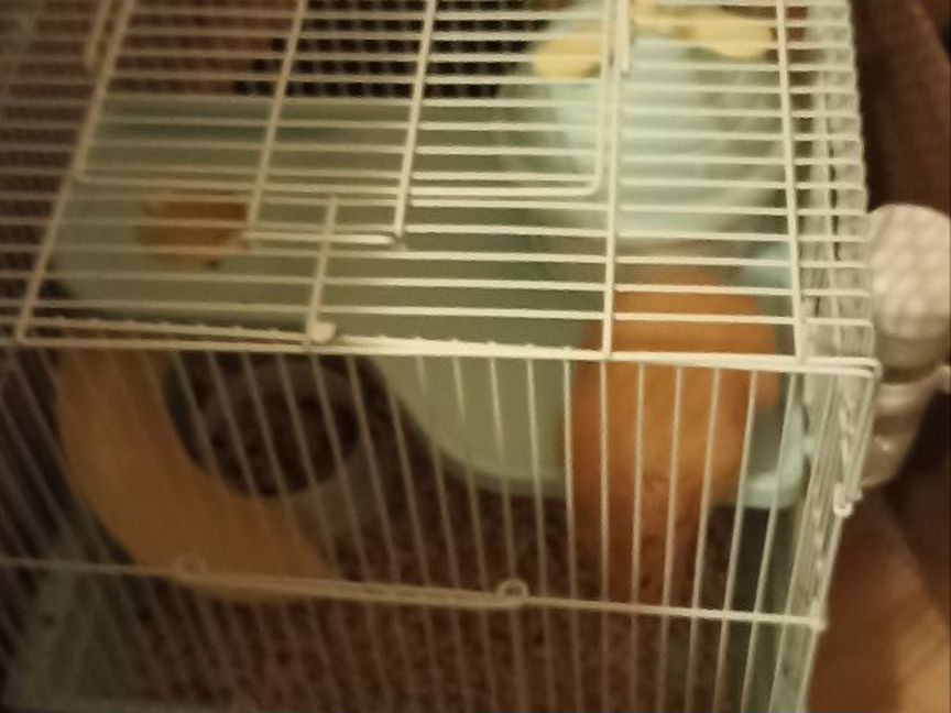 Клетка для хомяка
