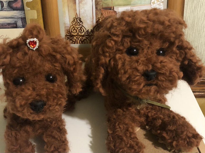 Той-пудель реалистичный