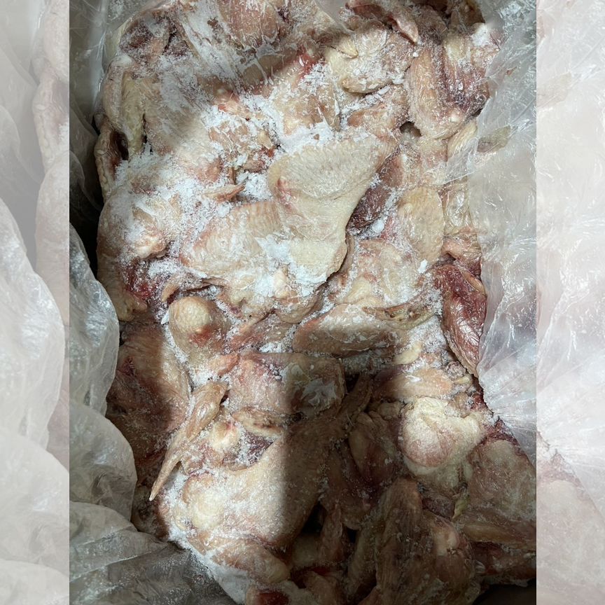 Корм для собак