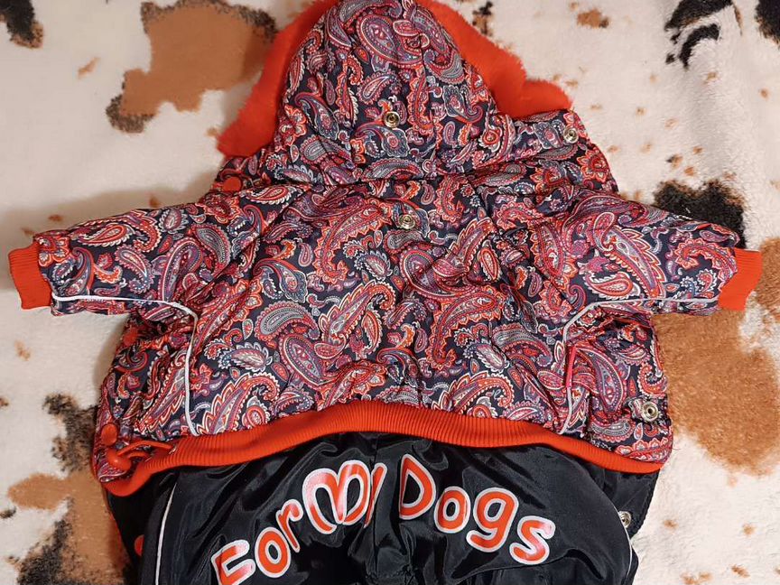 Одежда и обувь для маленьких собак, кошек