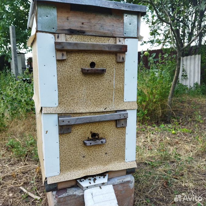 Продам ульи с пчелами, инвентарь