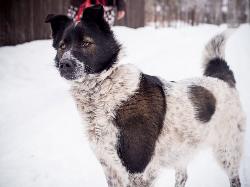 Жорик