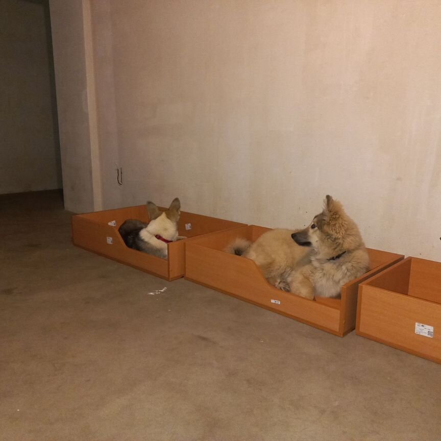 Лежанка для собак