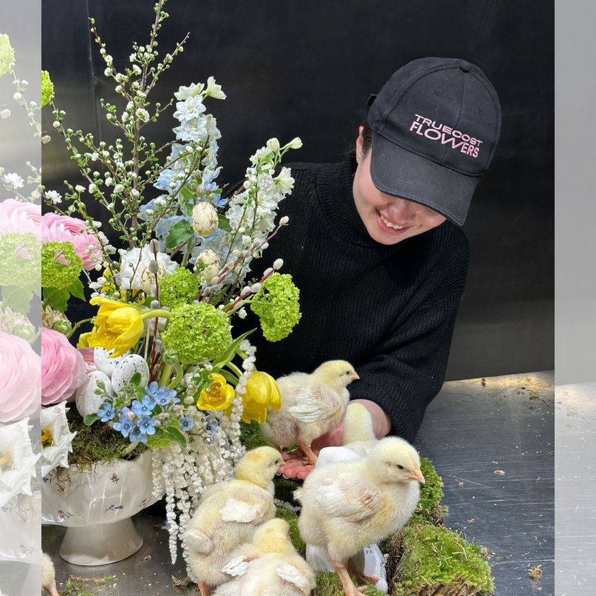 5шт цыплят Кобб 500