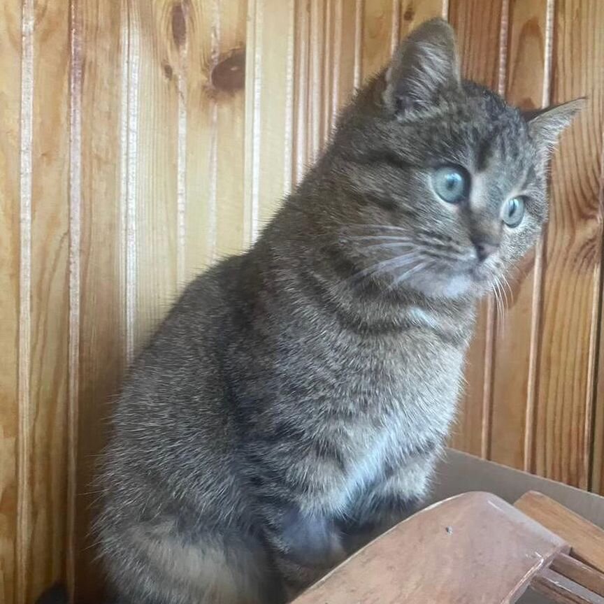 Девочка 1 год. Добрая