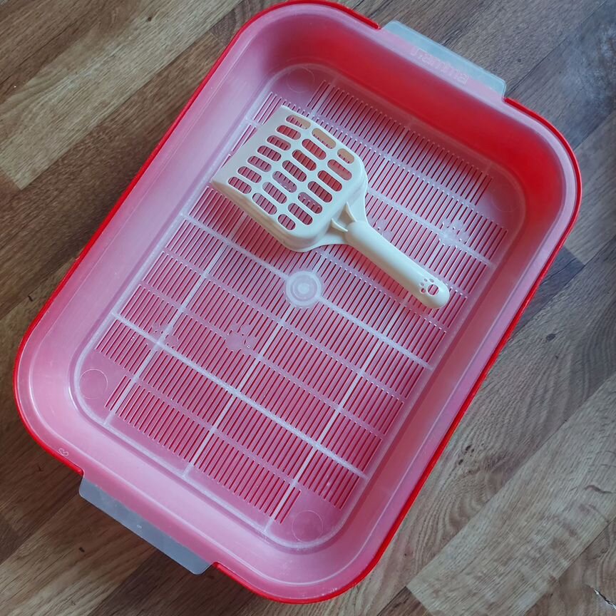 Лоток для кошек бесплатно