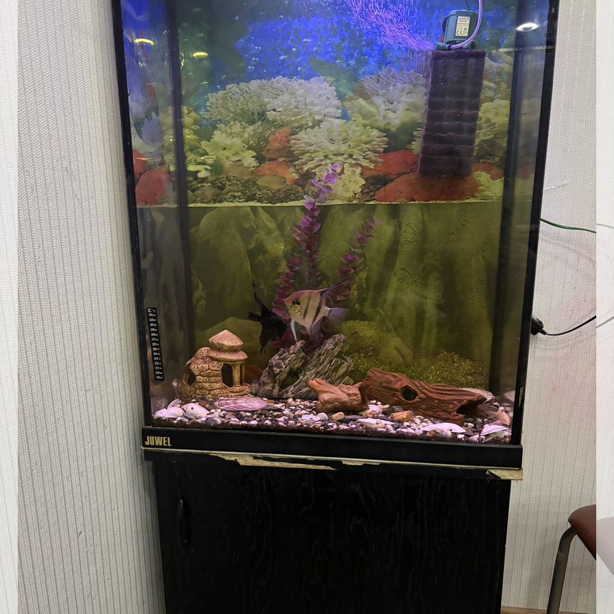 Аквариум с тумбой 150л