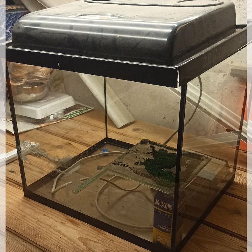 Аквариум террариум