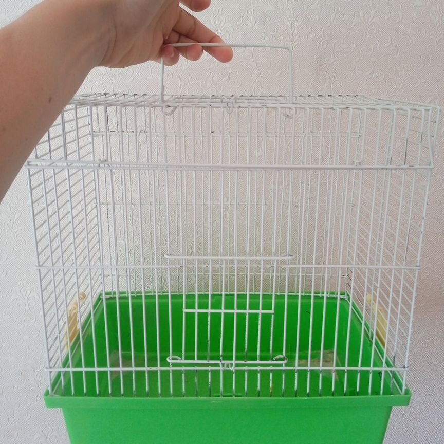 Клетка