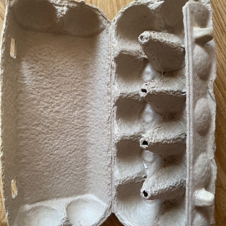 Лотки для яиц