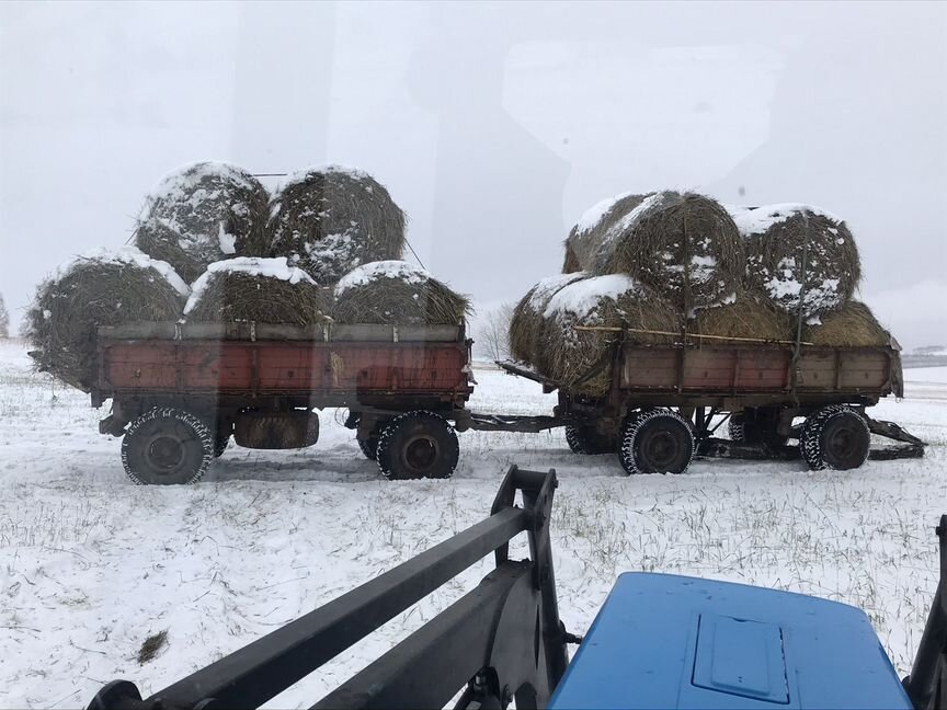 Сено в рулонах