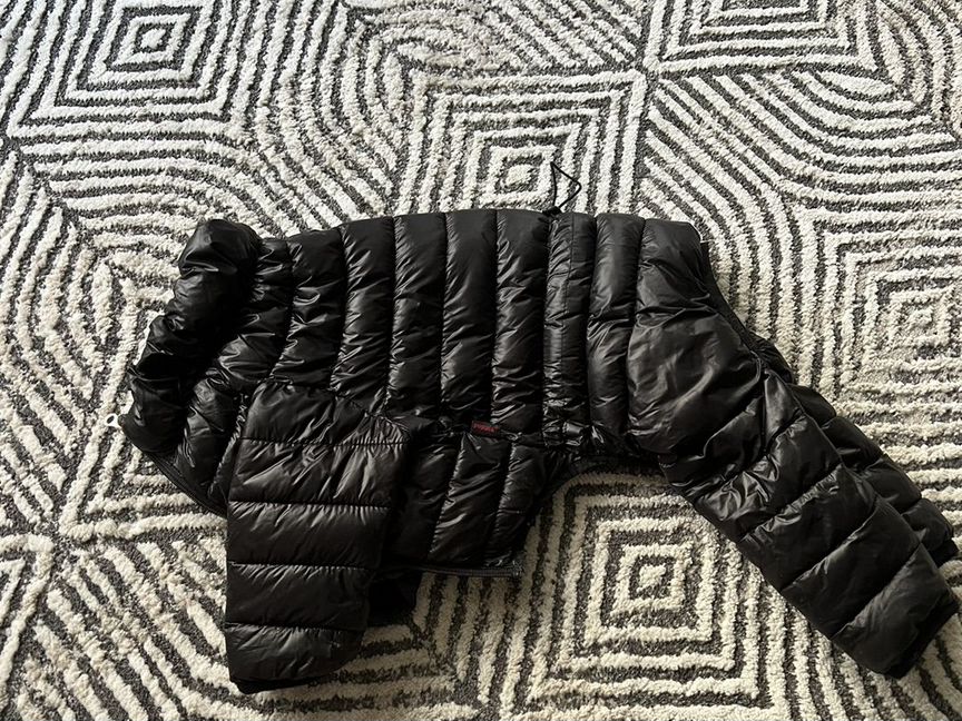 Вещи для собак бесплатно