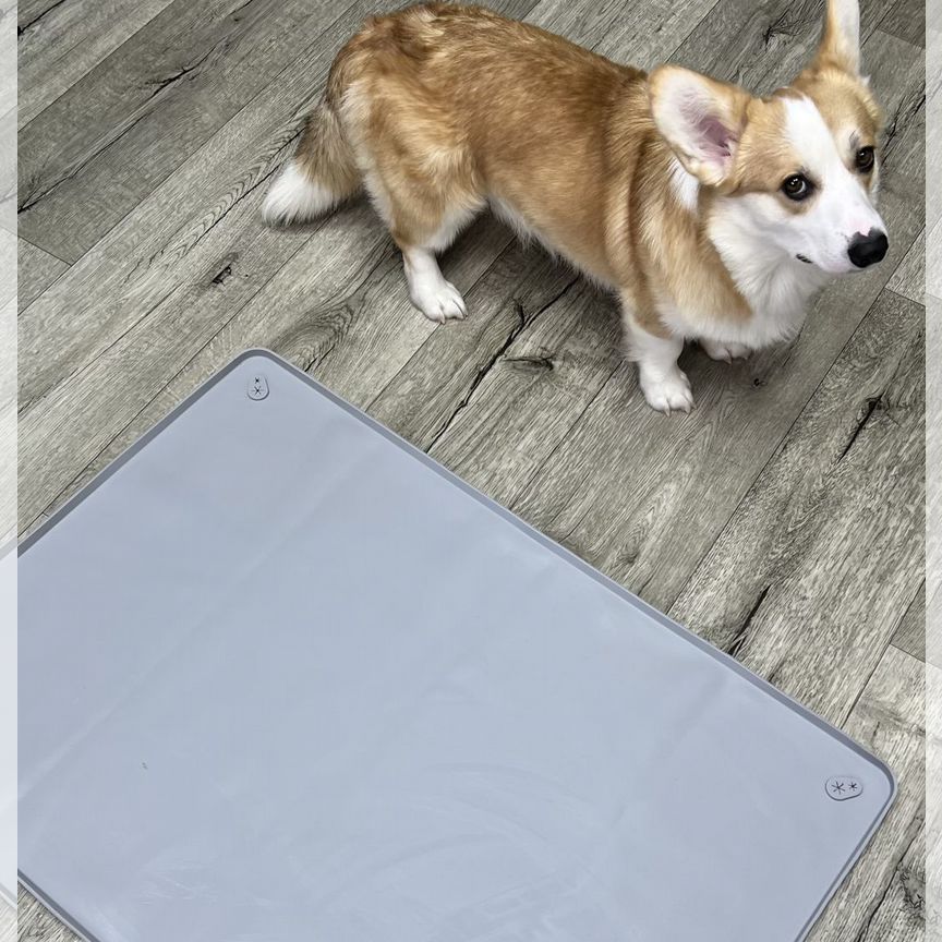 Коврик-лоток для собак, силиконовый