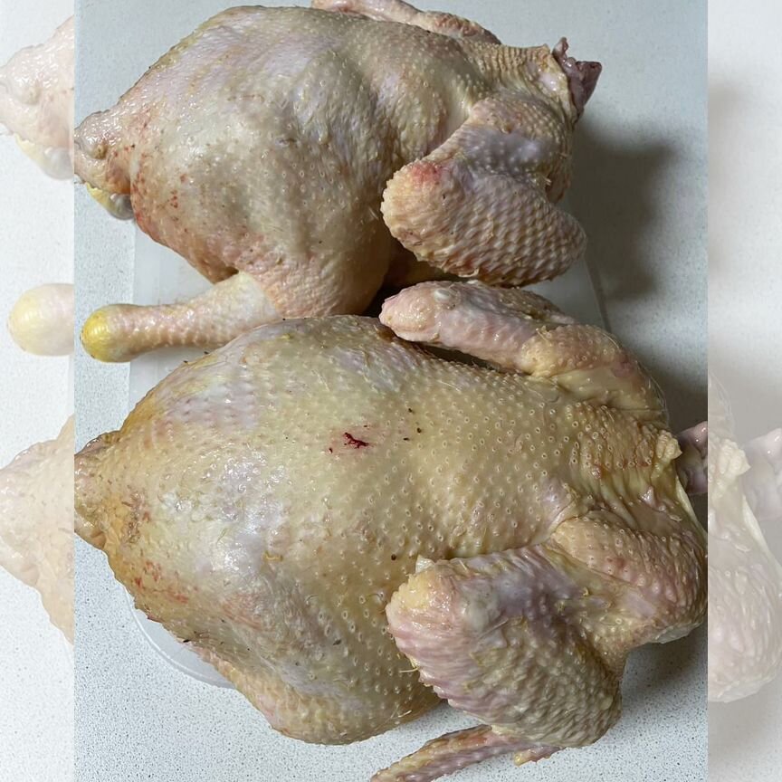 Куры бройлеры тушки мясо