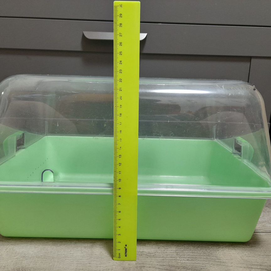 Террариум дюна