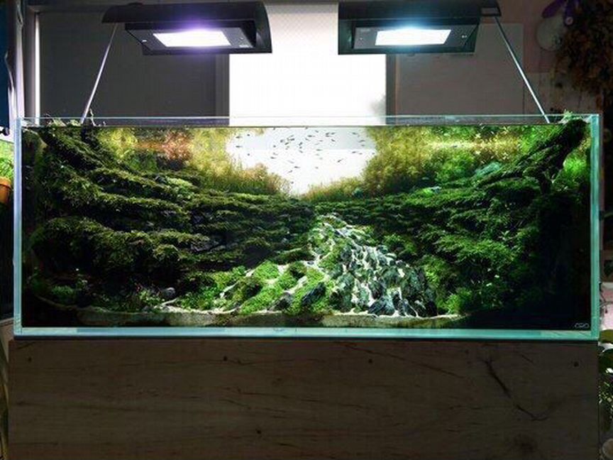 Оформление аквариума,консультации,коряги