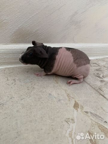 Девочка скинни