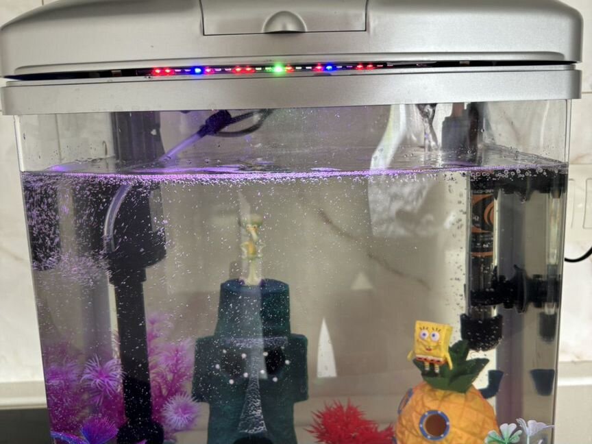 Аквариум 20л с аксолотами