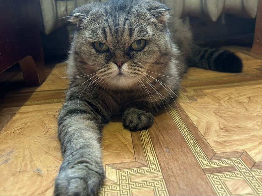 Кроша