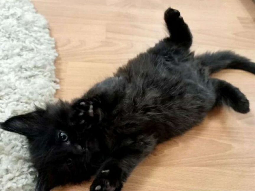 Обоятельные антидепрессанты кунятки