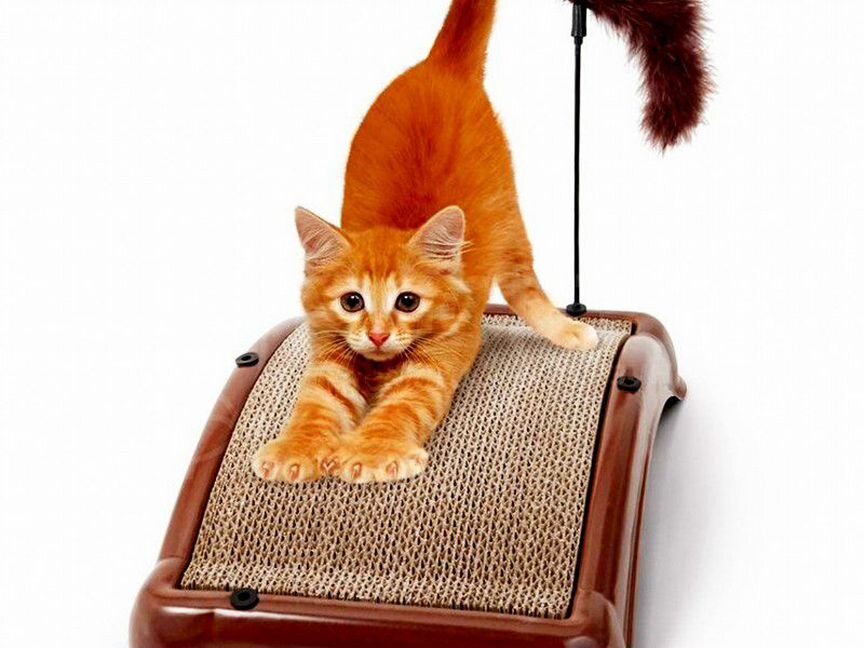 Когтеточка для кошек и котов *+