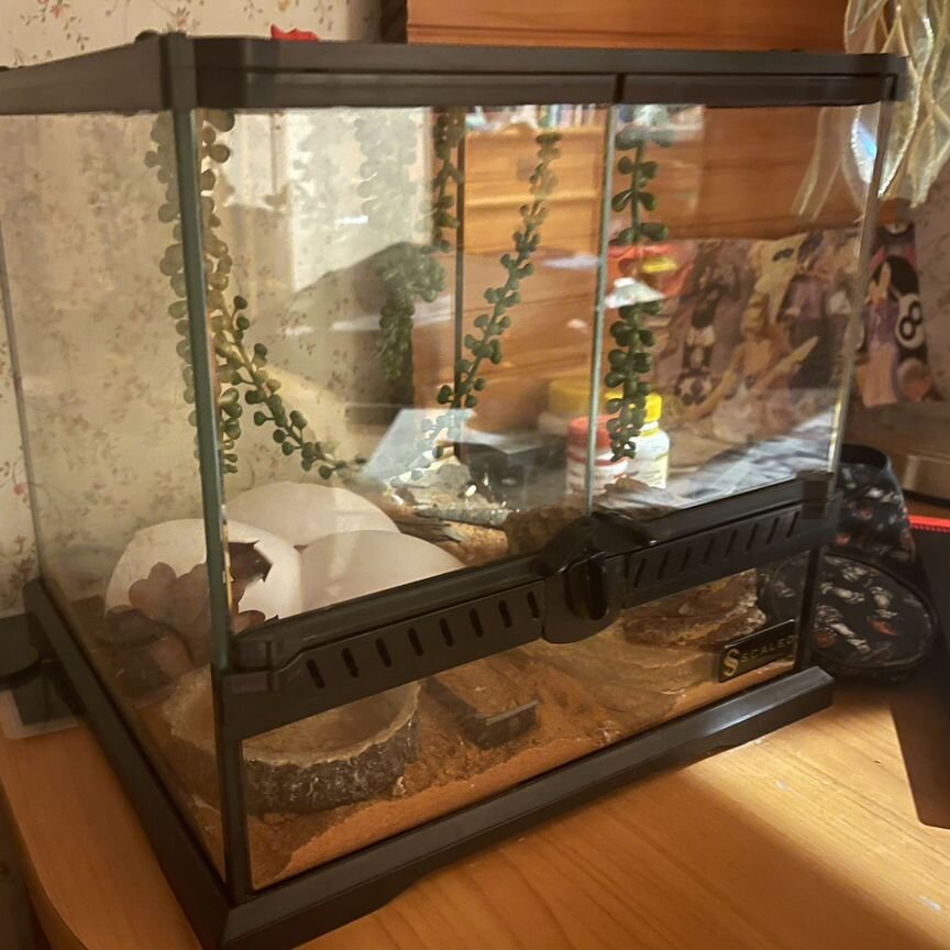 Террариум 30x30x30 scaled