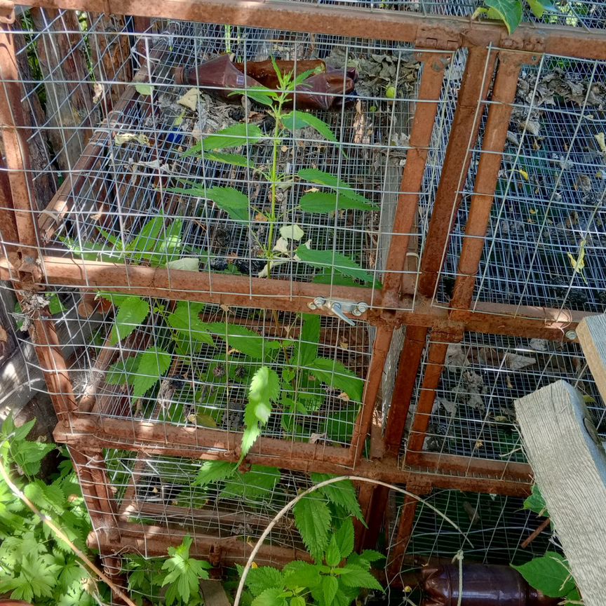 Продажа клетка для кур