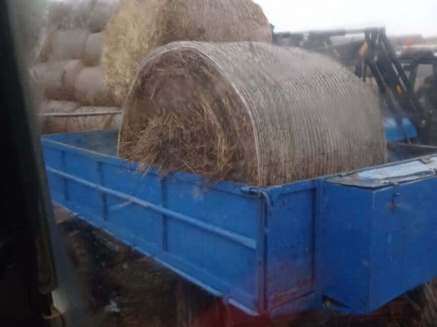 Сено,солома