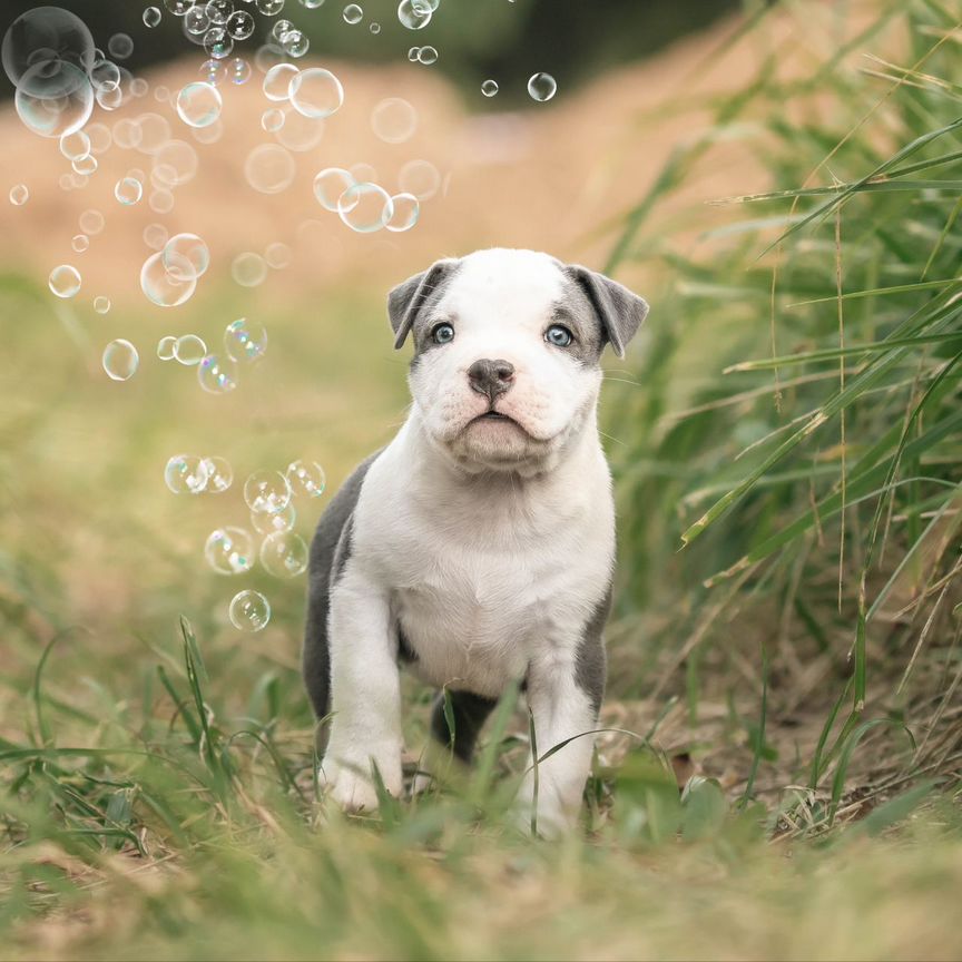 Шикарный парнишка на мягкий диванчик
