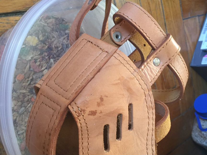 Намордник для собаки, поилка, кормушки для грызун