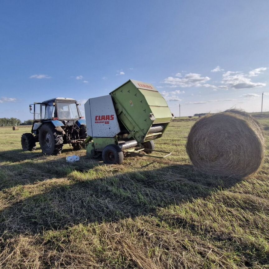 Продам сено в рулонах разнотравие