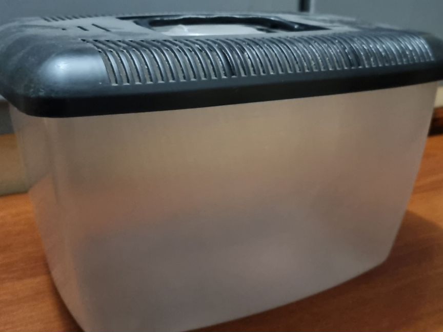 Террариум для черепахи и улиток