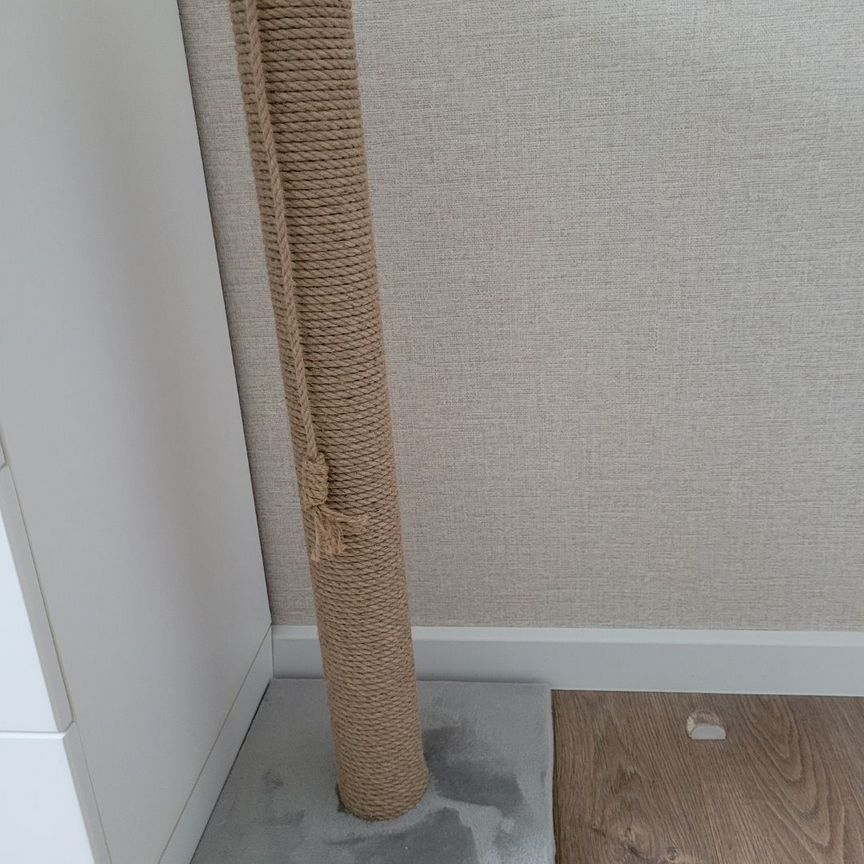 Когтеточка для кошек