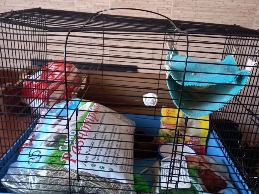 Клетка для грызунов