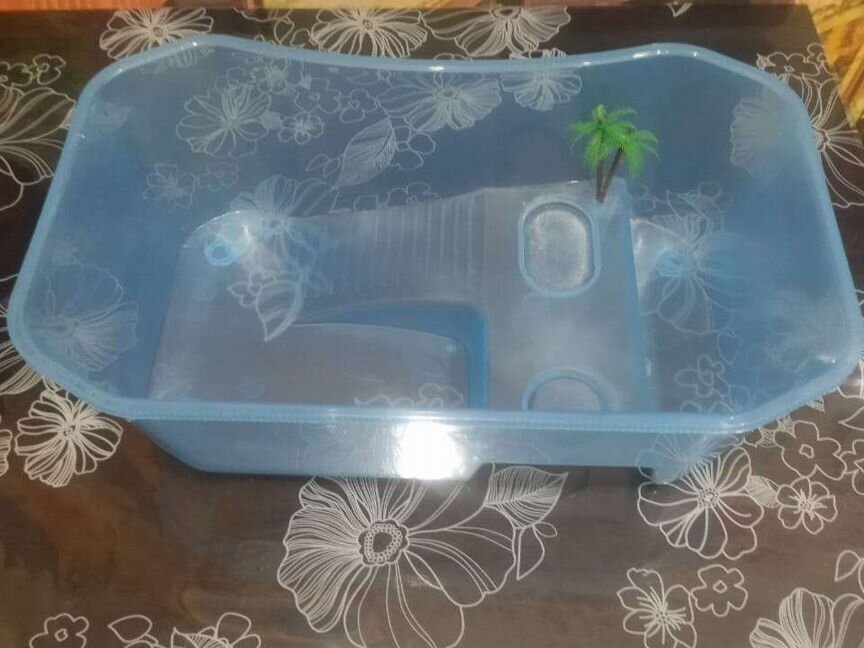 Ванночка для черепахи