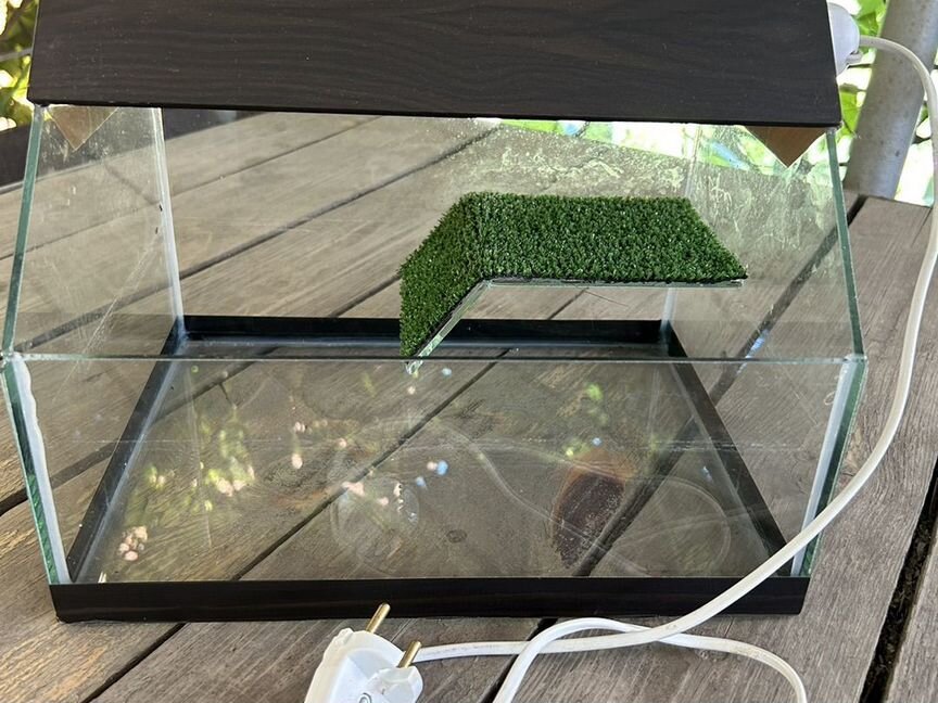 Аквариум для водной черепахи